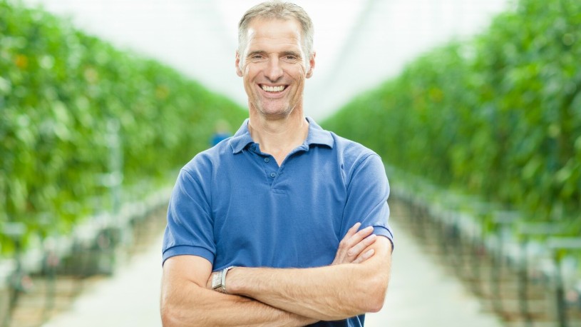 Dalipa | Harvest House